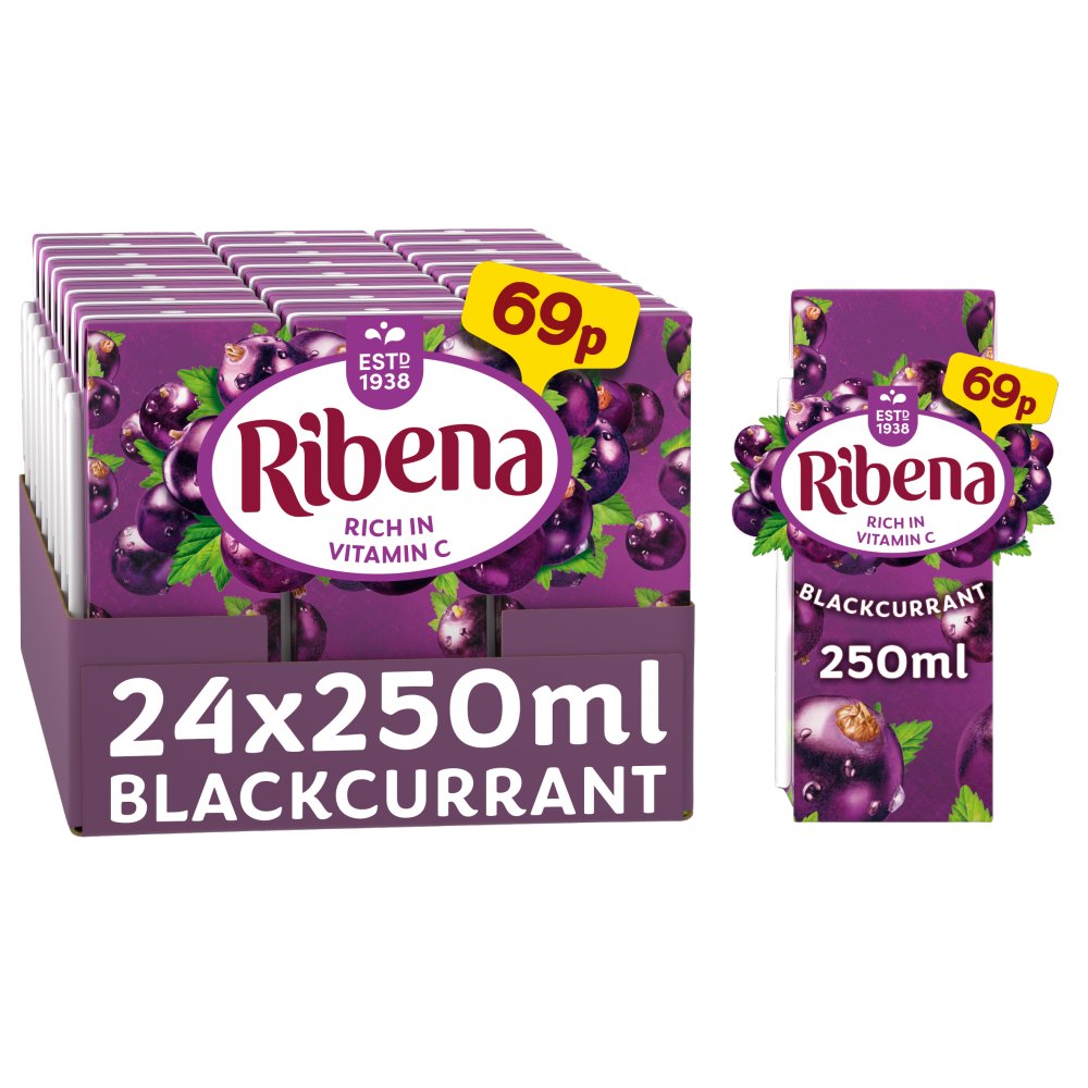 Ribena Blackcurrant 250ml (Case of 24) — BritishGram.com